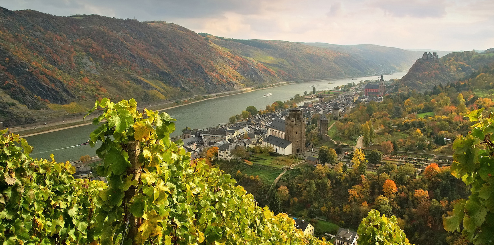 Rheingau